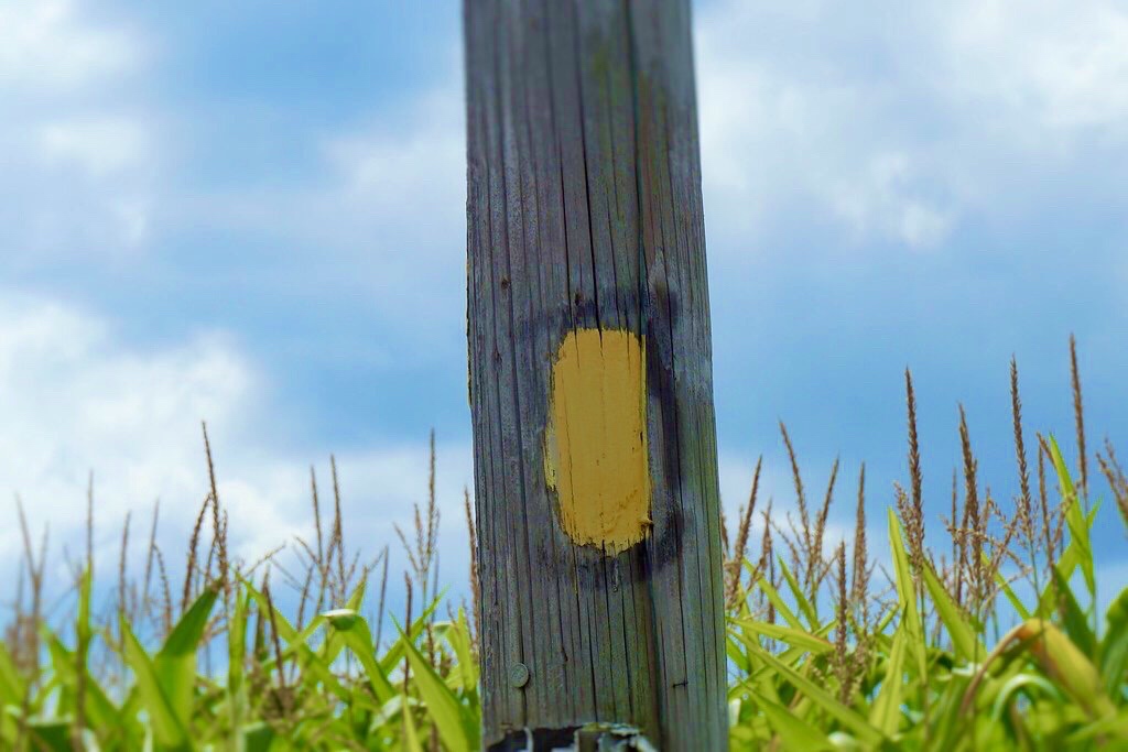 Hikes — Rachel Carson Trails Conservancy
